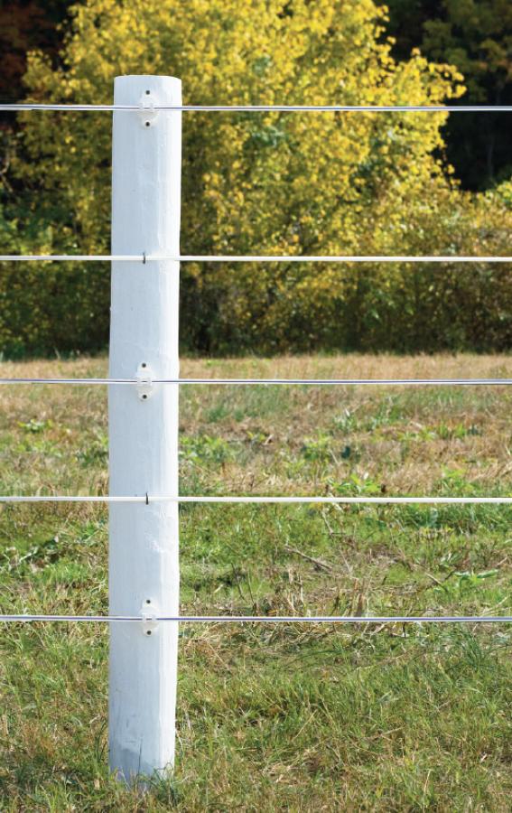 PolyPlus – Bluebird Fencing