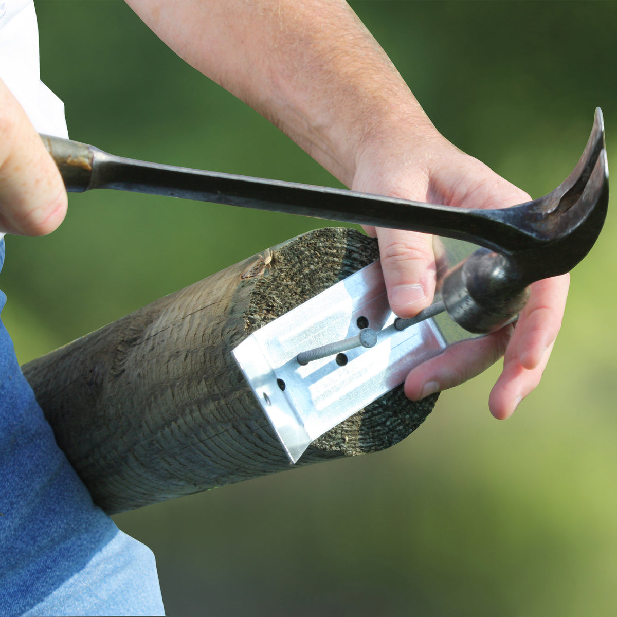 5 Inch Nails 1lb Box (21 ea) – Bluebird Fencing