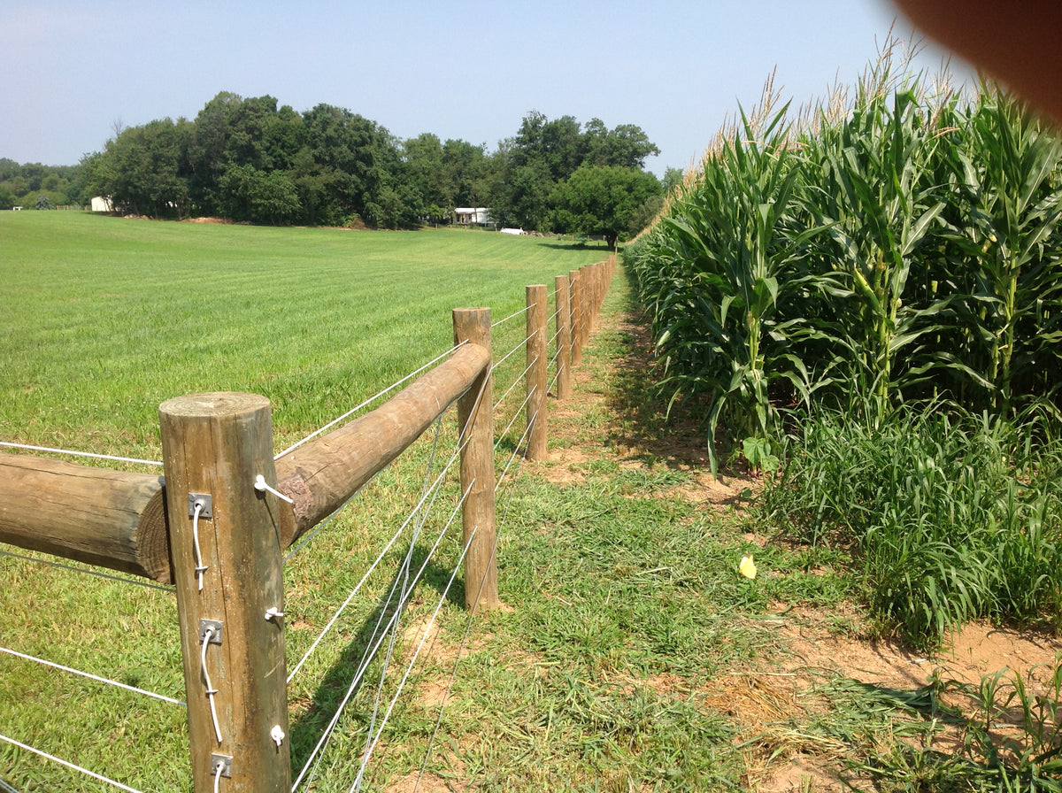 Finishline One-Way Vice Qty 5 each – Bluebird Fencing