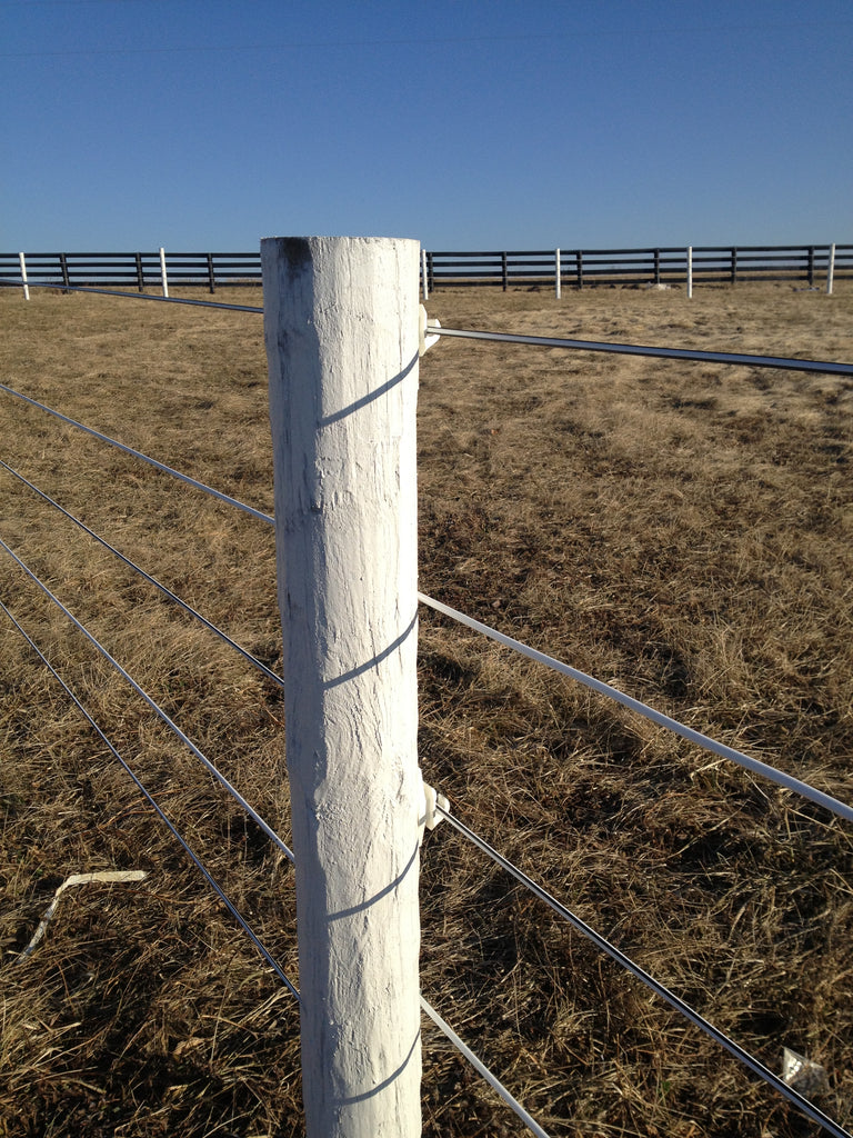 White Lightning Single Strand Fence Rolls 1320' Qty 1 each – Bluebird ...